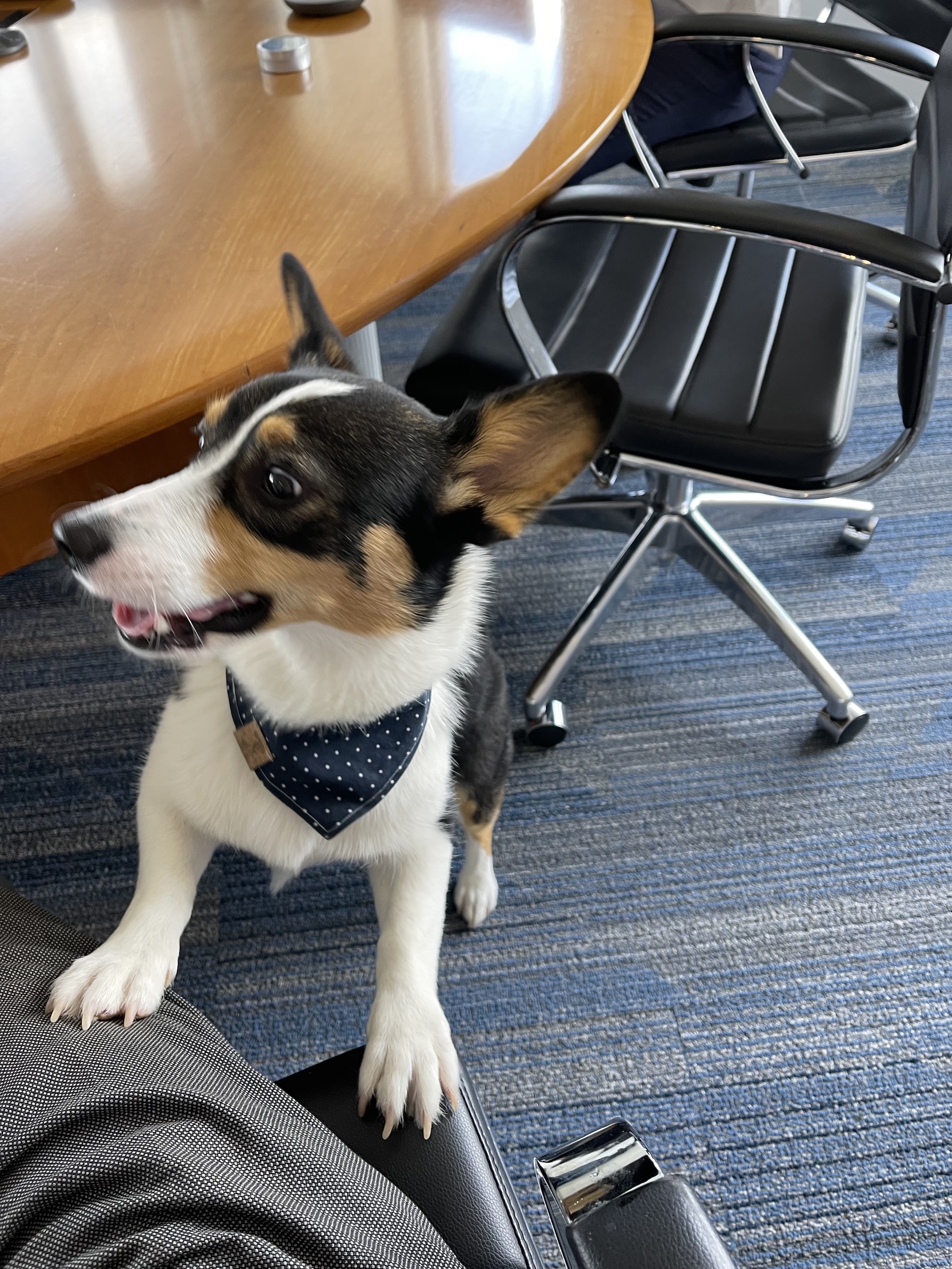 You Want the Job. Here’s How to Crush the Interview. – Epicoach